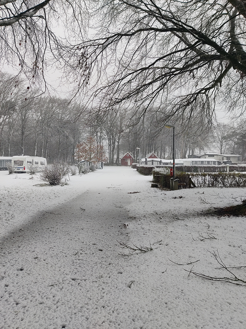 Pladsen – Løgstør Camping